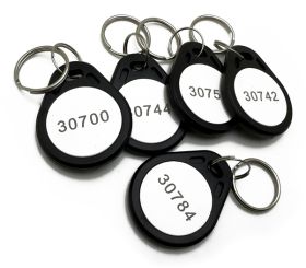 LEGIC RFID Transponder für schlüssellose Schließanlagen Türöffner und ...